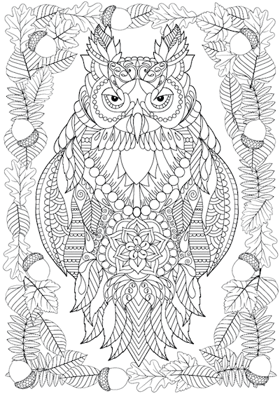 Mønstret ugle med agern og blade - Tegninger.nu